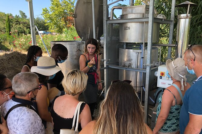 Guided Tour of Lavender Distillery Between Provence & Camargue - Demonstration of Steam Still Extraction