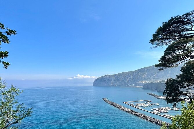 Guided Tour of the History and Tradition of the Sorrento Lemon - Traveler Experiences and Recommendations