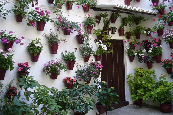 Guided Tour to the Popular Patios of Cordoba - Choosing the Best Time to Visit