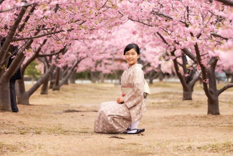 Hagi City：Kimono Experience in the Castle Town - Restrictions and Suitability