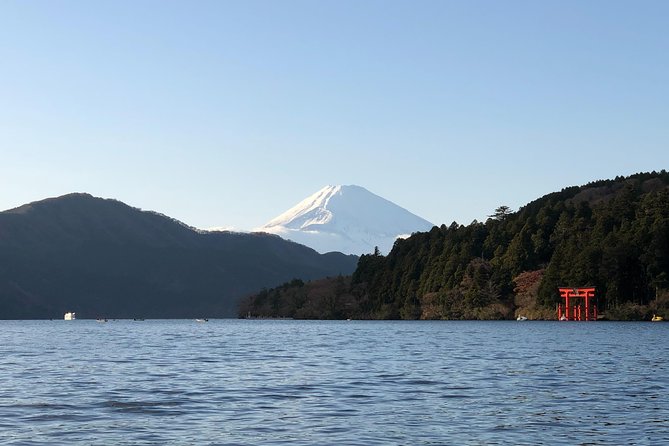 Hakone Private One Day Tour From Tokyo: Mt Fuji, Lake Ashi, Hakone National Park - Meeting and Pickup Details