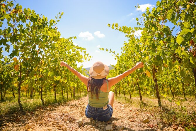 Half Day Chianti Vineyard Escape From Florence With Wine Tastings - Reviews and Feedback