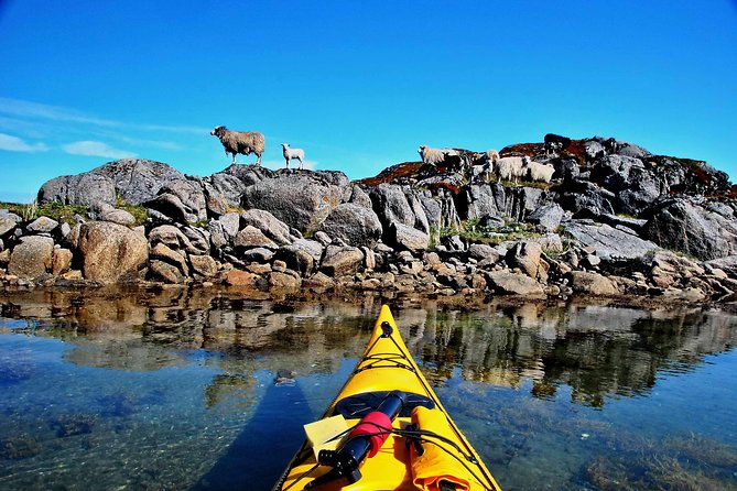 Half Day Kayak - Northern Explores AS - Additional Information