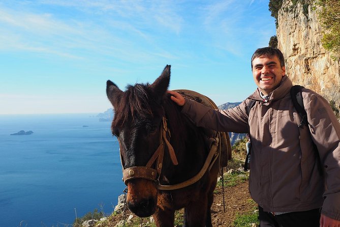 Half-Day Private Amalfi Coast Path of the Gods Hike With Lunch - Lunch at a Traditional Trattoria in Nocelle