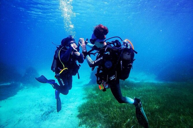 Half-Day Scuba Diving Discovery - Feedback and Recommendations