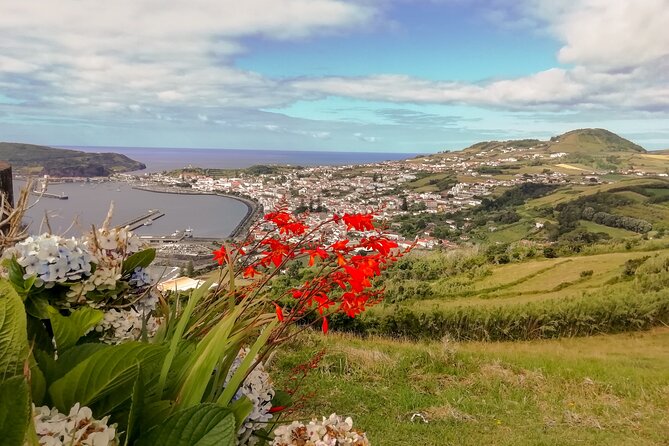 Half Day Tour - Faial Island - Knowledgeable and Accommodating Guide