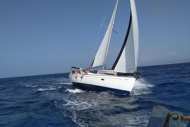 Heraklion | Half Day Sailing Cruise to Dia Island - Reviews and Feedback
