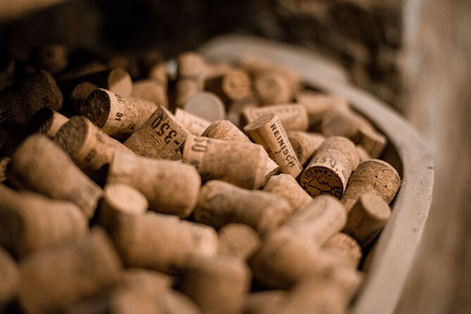 Hidden Wine Cellars Vienna - on the Tracks of the Viennese Wines - Navigating the Tour With Knowledgeable Guides