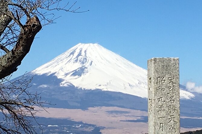 Hike Hakone Hachiri - Physical Requirements and Considerations