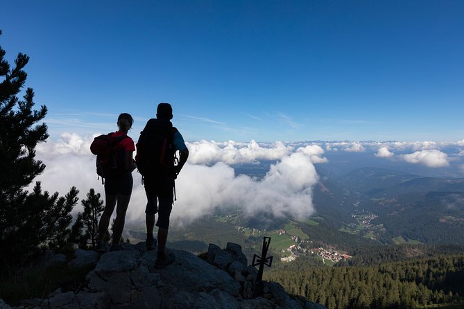 Hike the Dolomites: One Day Private Excursion From Bolzano - Convenient Transportation and Pickup