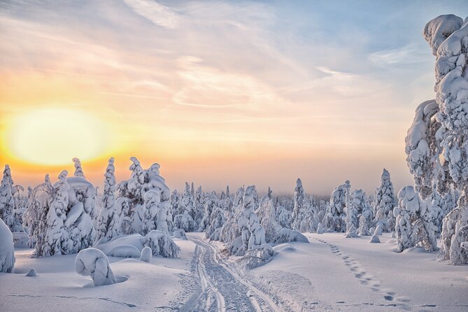 Hike to Frozen Waterfalls of Korouoma Including BBQ Lunch From Rovaniemi - Tour Requirements and Restrictions to Note