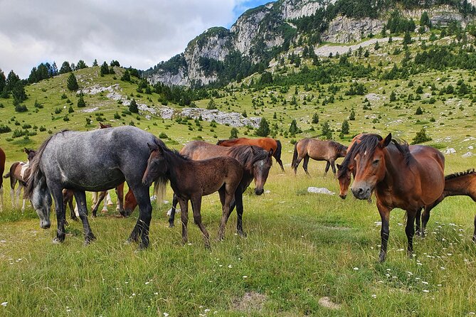 Hiking Prenj, Velika Kapa - Suitability and Health Restrictions