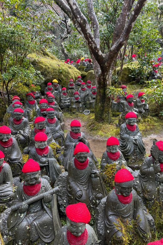 Hiroshima: Explore Miyajima Private Customized Tour W/Local - Customer Reviews and Feedback