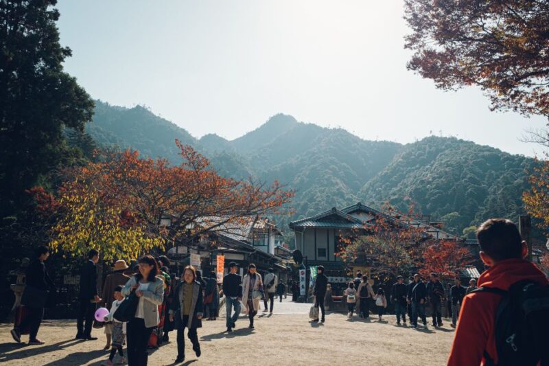 Hiroshima: Hidden Gems and Highlights Private Walking Tour - Navigating the Citys Vibrant Districts