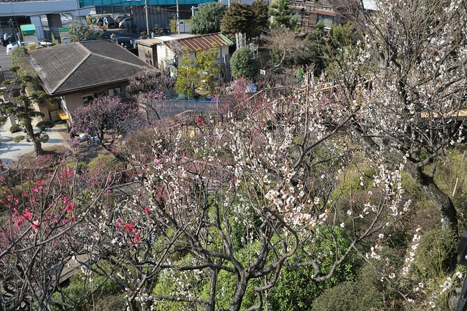 Historic Temple・Traditional Japanese Garden＆ Eating Around at a Shopping Strip - Meeting Point and Pickup Details