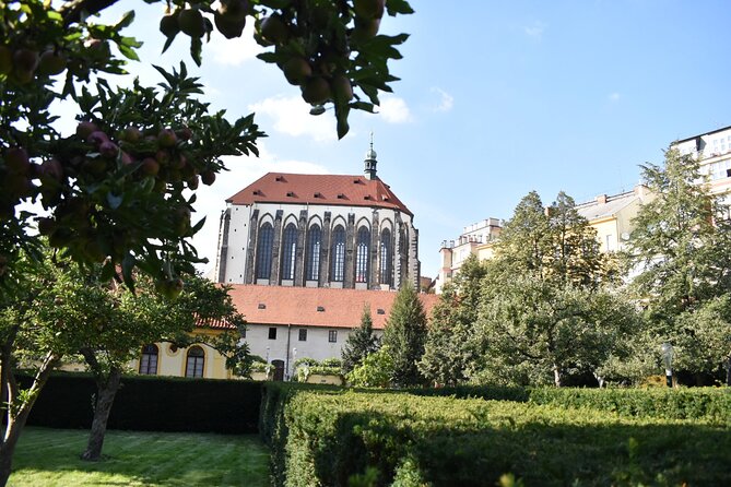 Historic Tour of Prague - Health and Safety Information