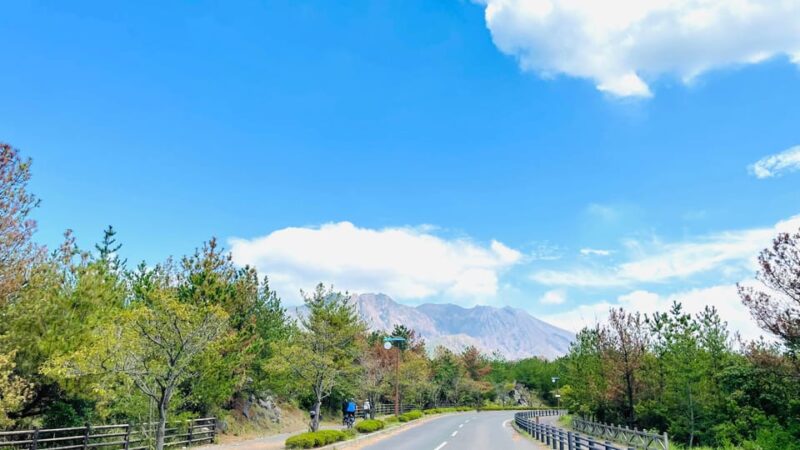 Historical Hill Climb E-bike Tour to Sakurajimas Peak - Customer Reviews