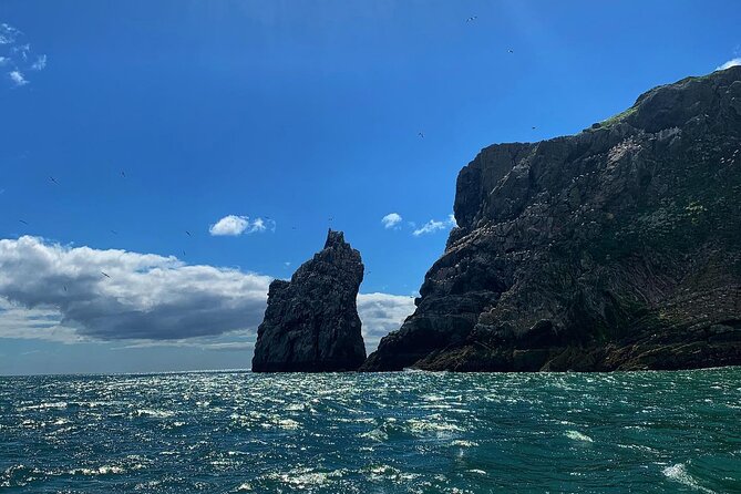 Howth Cliff Cruises - Crew and Customer Service