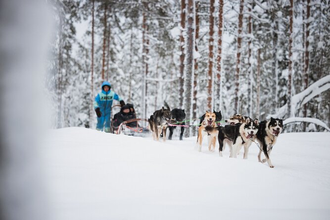 Husky, Reindeer Farm and Santa Village Experience - Santa Claus Village Exploration