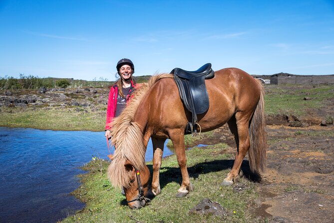 Icelandic Horse Riding and Whale Watching Tour From Reykjavik - Meeting Point and Pickup Options