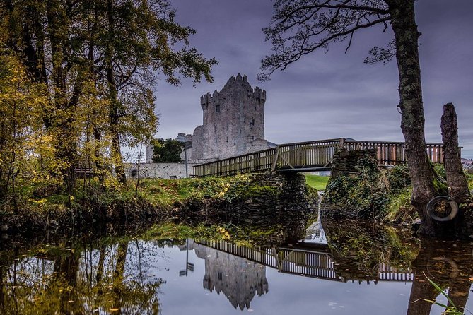 Innisfallen Island - Scenery & History of Killarney National Park - Scenic Boat Tours: An Unforgettable Experience