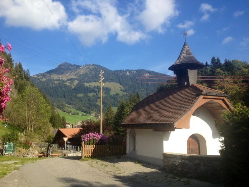 Interlaken: Cheese and Chocolate Full-Day Food Tour - Cheese Tasting and Factory Visit