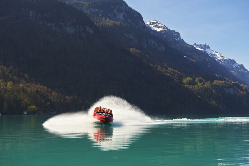 Interlaken: Scenic Jetboat Ride on Lake Brienz - Participant Guidelines