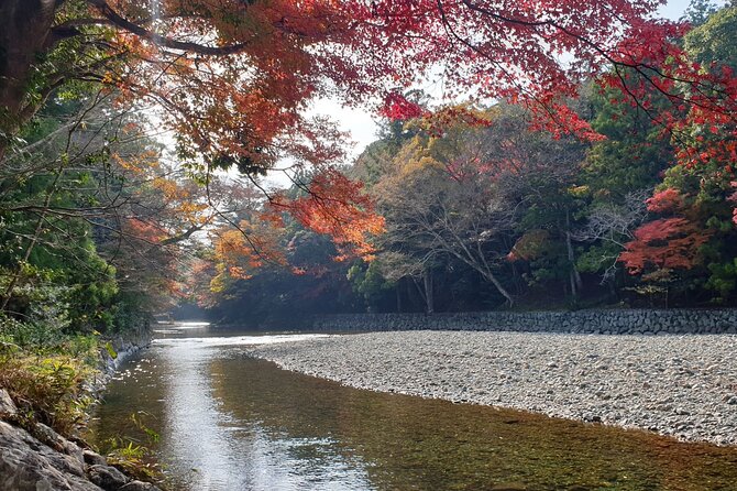 Ise Jingu Half Day Private Tour - Reviews and Feedback