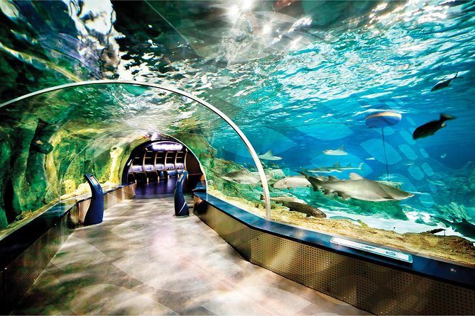 Istanbul Aquarium and Aqua Florya Independent Shopping Trip - Navigating the Aqua Florya Shopping Complex