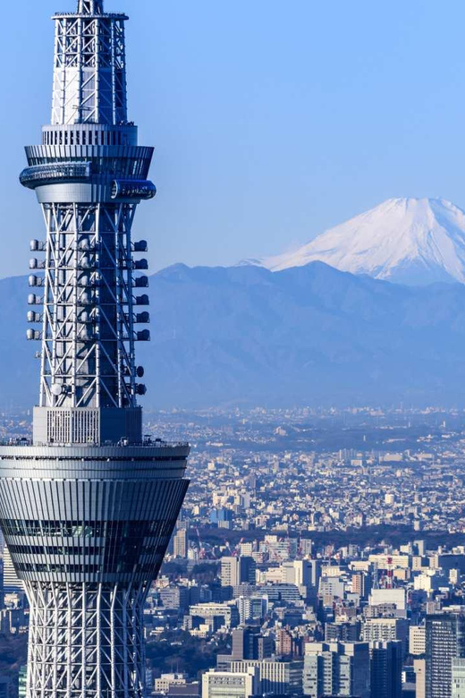 Japan: 7-Day Private Tour With Tokyo, Kamakura, and Osaka - Day 3: Experiencing Fuji-Hakone