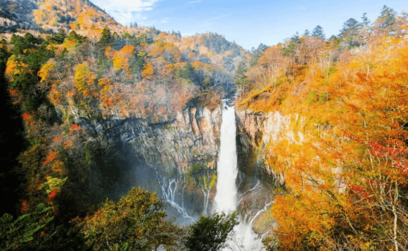 Japan: Private 3, 5, 7, or 10-DAY Tour With Driver - Frequently Asked Questions