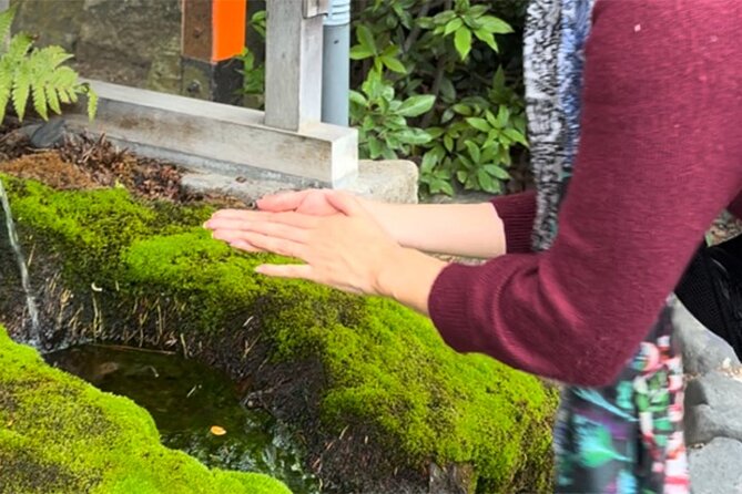 [Japan Wellness] A Tour of Four Springs, Tofu Lunch, and Matcha - Private Transportation and Accessibility