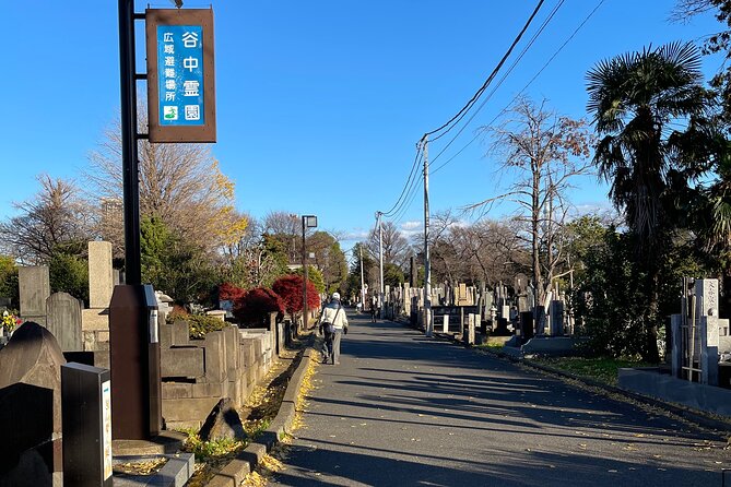 Japanese Dessert & Sake Pairing & Retro Tokyo Walk W/ Local Guide - Reviews and Testimonials