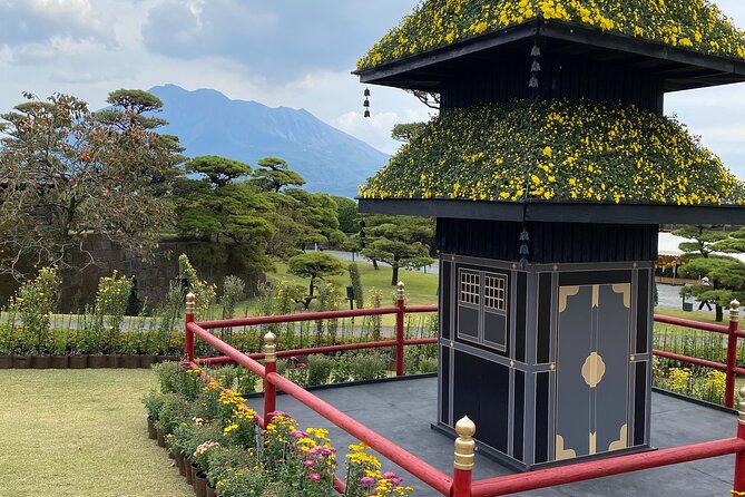 Kagoshima Highlights Private Tour, Sakurajima Volcano and More - Customer Feedback and Experience