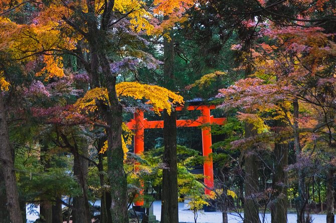 Kagoshima Private Customized Full Day Tour - Meeting and Logistics