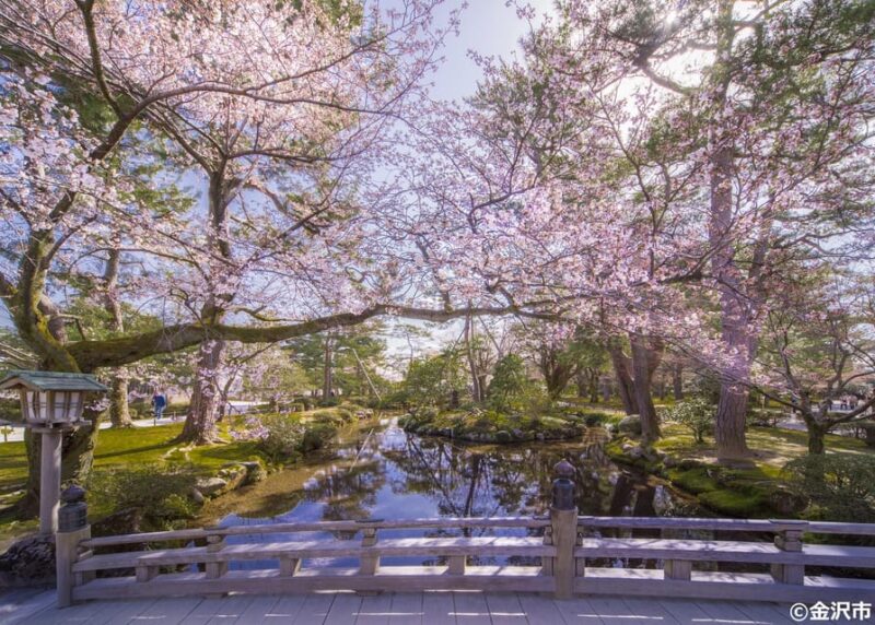 Kanazawa Half Day + Kenrokuen (E-bike Tour) - Kanazawa Castle