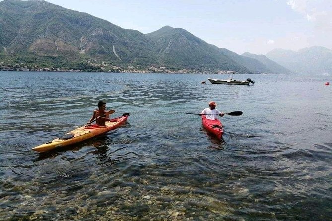 Kayak Active Tour - Customer Feedback