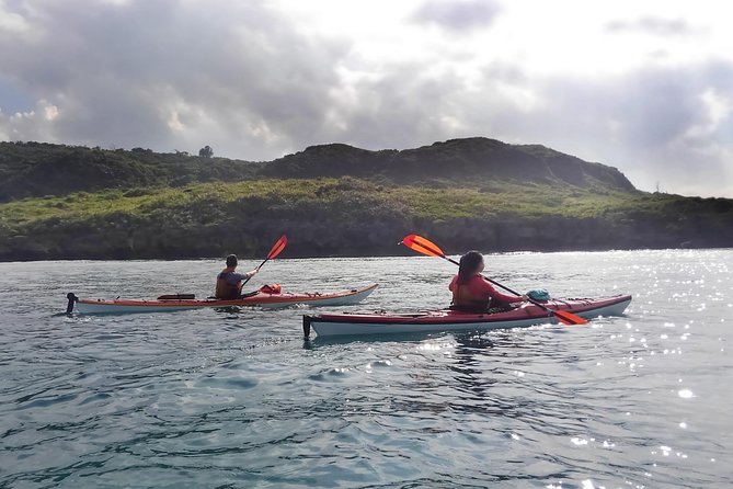 Kayak Mangroves or Coral Reef: Private Tour in North Okinawa - Booking Information
