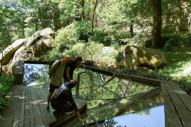 Know Sintra Through the Eyes of a Local Archeologist Private Tour - Indulge in Traditional Snacks