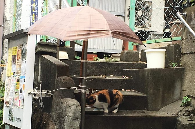 KOBE, SHIOYA, a Quaint Fishing Town Walking Tour - Discovering Shioyas Architectural Gems
