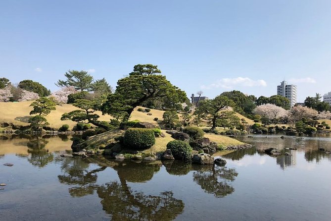 Kumamoto Half-Day Private Tour With Government-Licensed Guide - Guide Expertise
