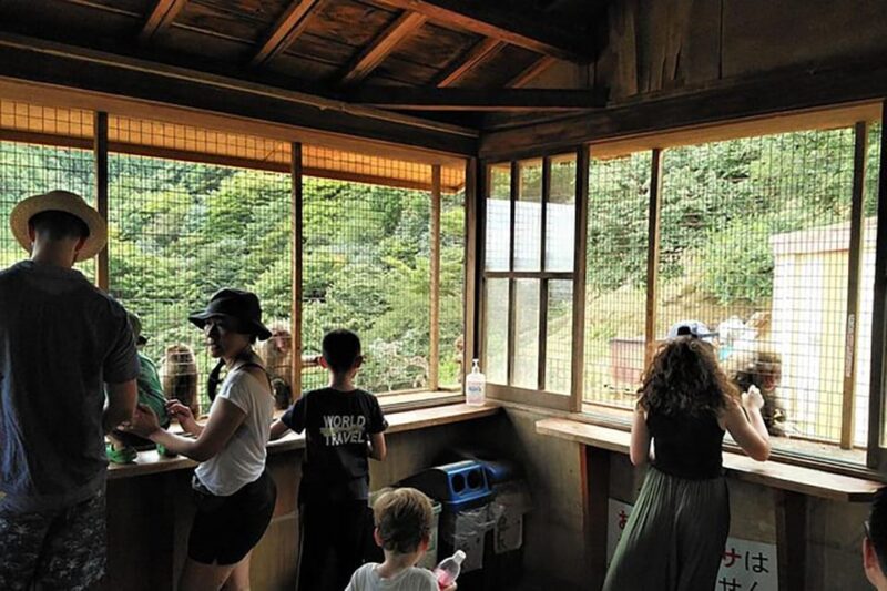 Kyoto Arashiyama & Golden Pavilion One-Day Walking Tour - Exploring Arashiyama and the Golden Pavilion