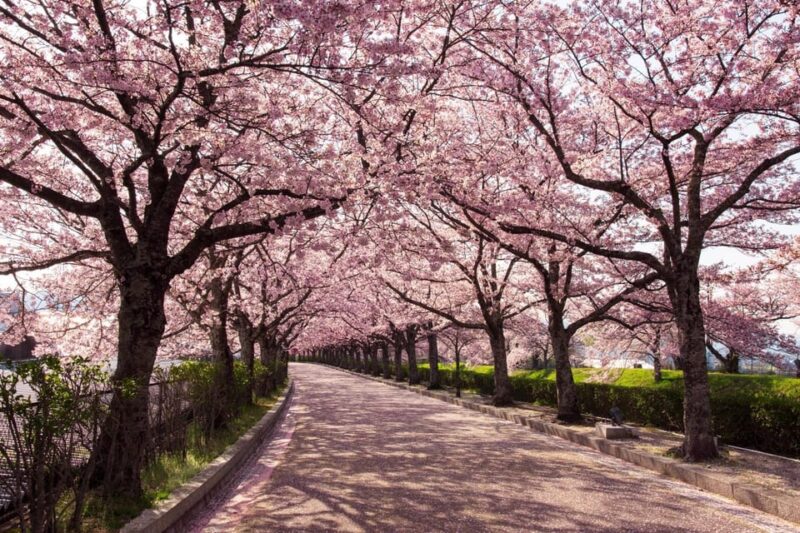 Kyoto: Arashiyama, Kinkakuji, Gion, and Fushimi Inari Tour - Gion District