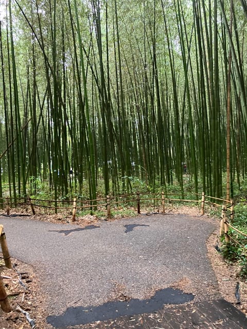 Kyoto: Essential Tour With Fushimi Inari & Bamboo Grove - Explore Fushimi Inari Shrine