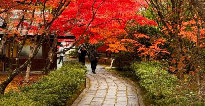 Kyoto: Fully Customizable Your Own Tour in the Old Capital - Inclusions and Exclusions