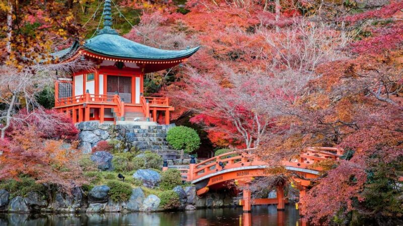 Kyoto: Highlight Tour With English Speaking Guide - Nijo Castle and Fushimi Inari Taisha