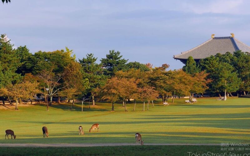 Kyoto/Osaka: Nara Customizable Self-Guided Tour With Driver - Pickup and Drop-off Locations
