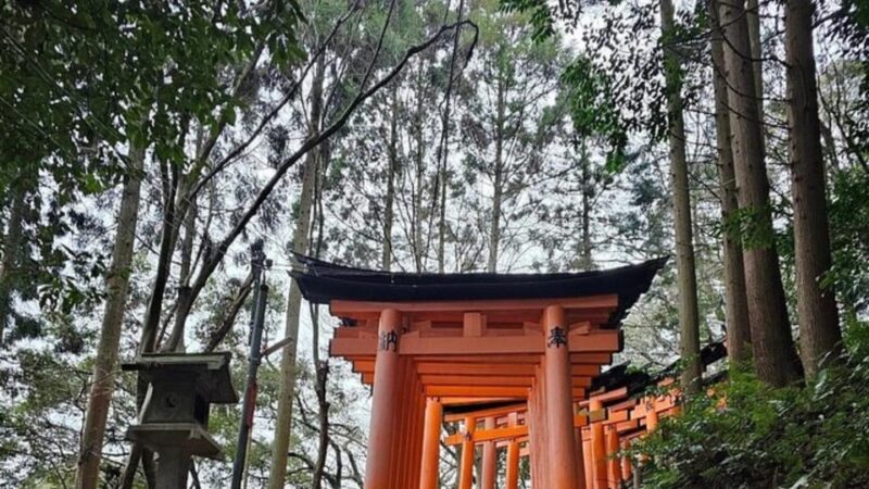 Kyoto: Private Full-Day Tour by Car - Important Information for Participants
