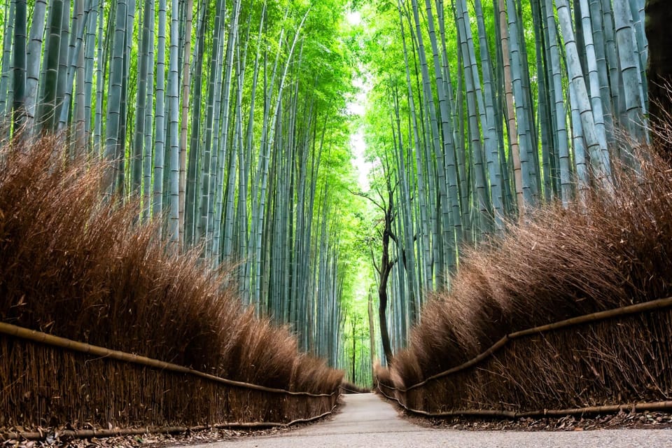 Kyoto: Private Full-Day Tour by Car - Customer Feedback and Ratings