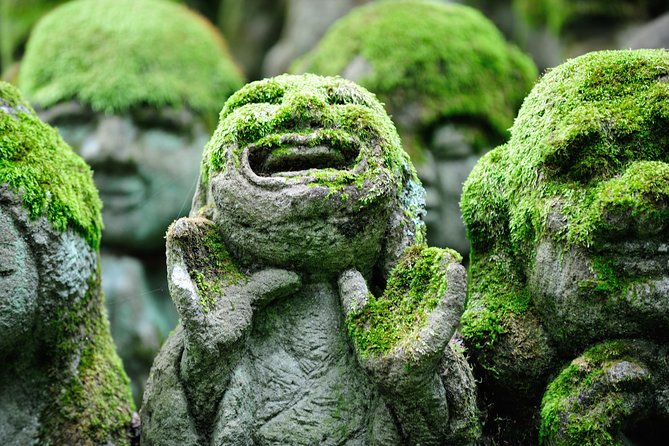 Kyoto Sagano Insider: Rickshaw and Walking Tour - Accessibility and Participation